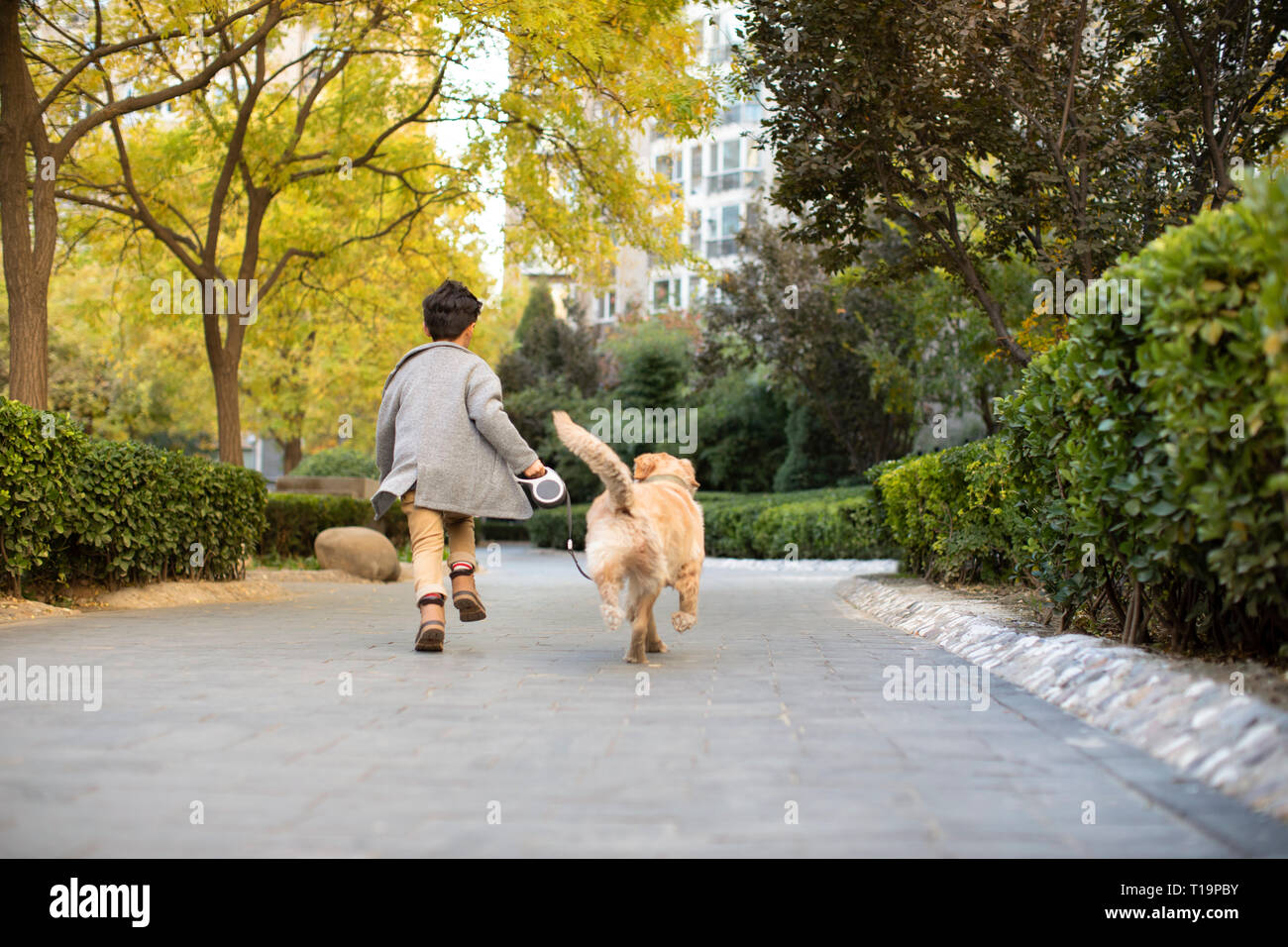 Little boy running with dog Stock Photo - Alamy