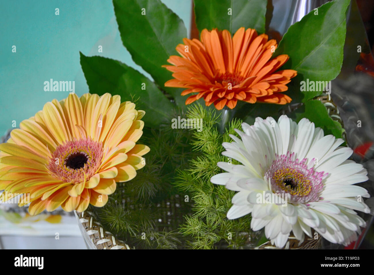 Most beautiful flower hi-res stock photography and images - Alamy