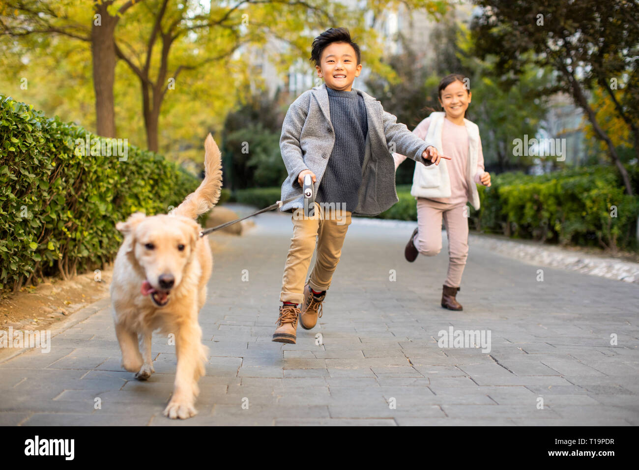 Two children running with dog Stock Photo - Alamy
