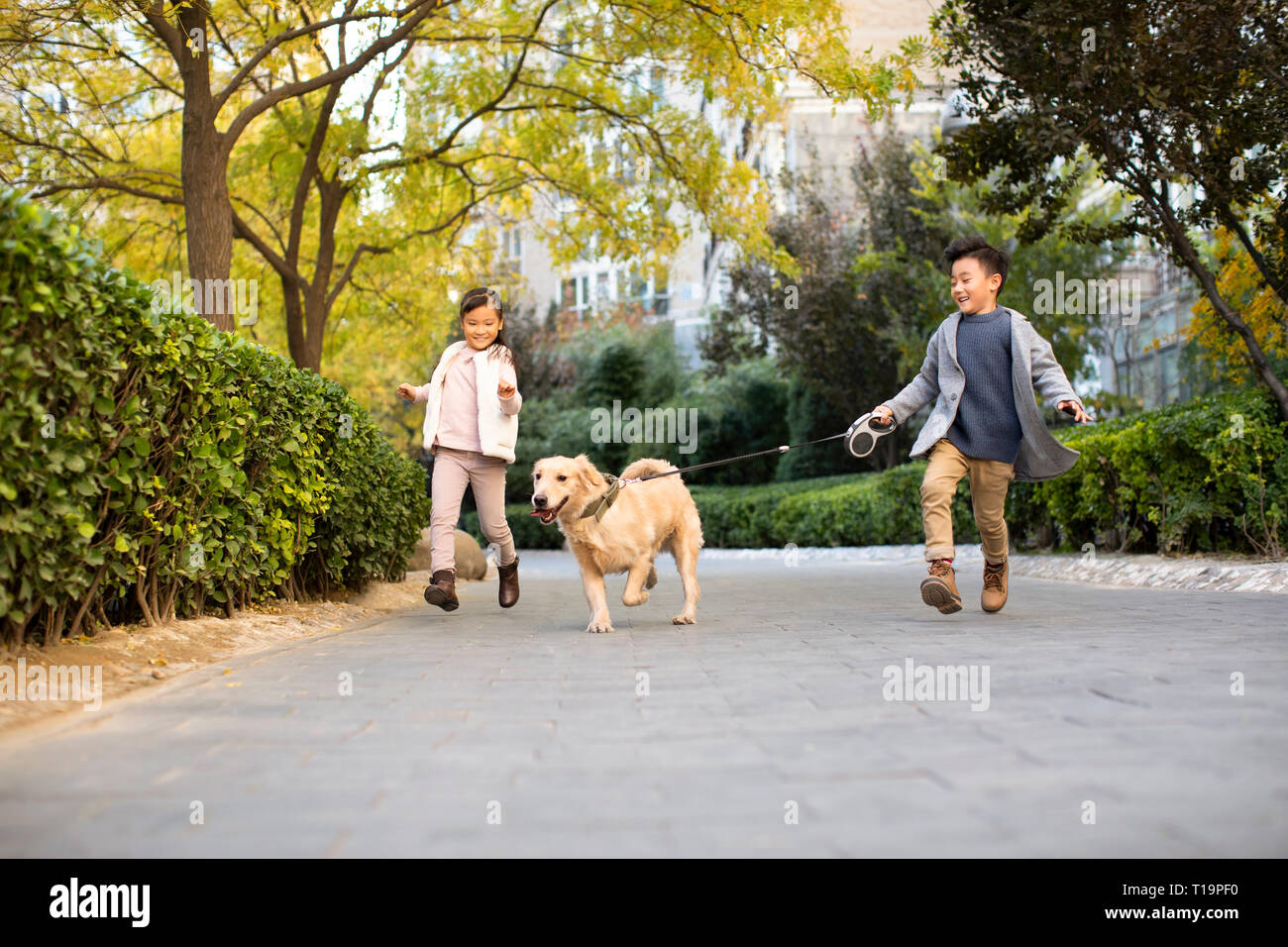 Two children running with dog Stock Photo - Alamy