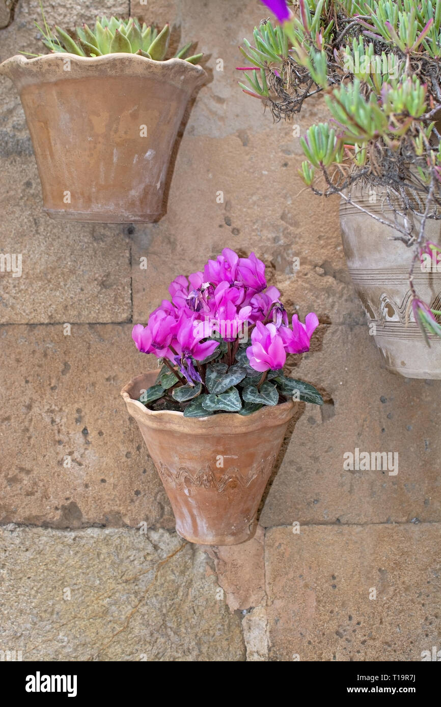 Balcony stone house flowers hi-res stock photography and images - Alamy