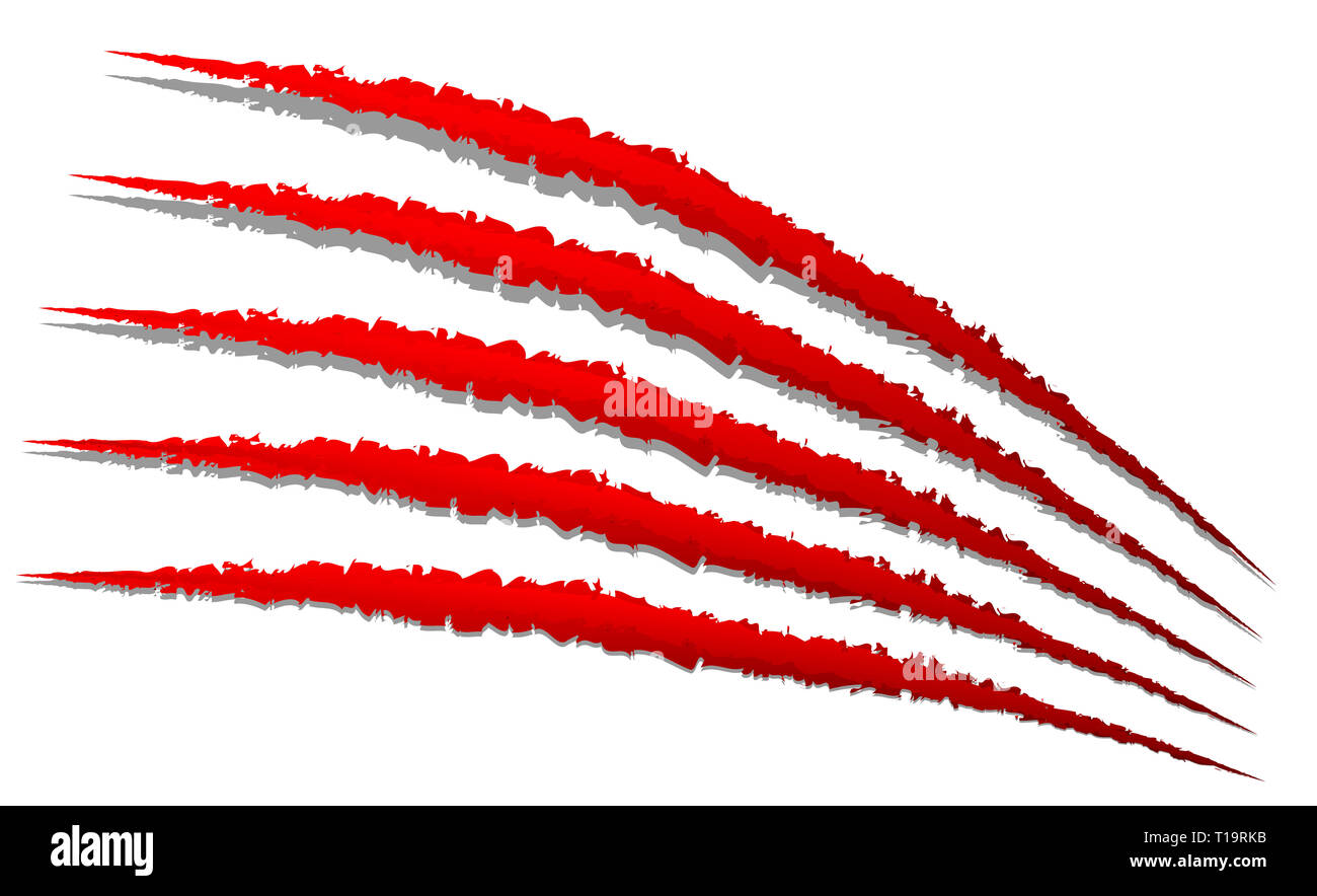 Claw marks, claw scratches, paw marks vector Stock Photo - Alamy