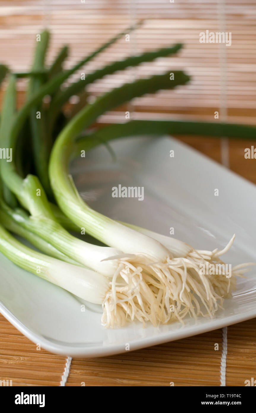 Scallions roots hi-res stock photography and images - Alamy