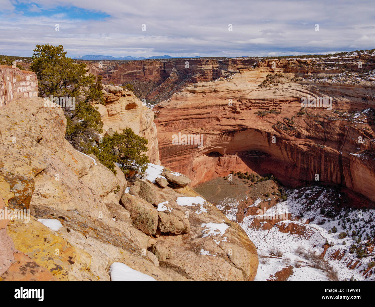 Mummy Cave Ruin, Canyon de Chelly National Monument, Arizona. Chuska ...