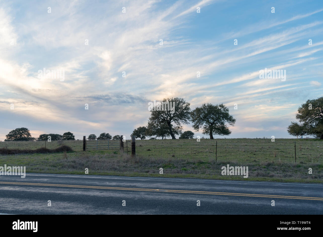 Texas field low angle hi-res stock photography and images - Alamy