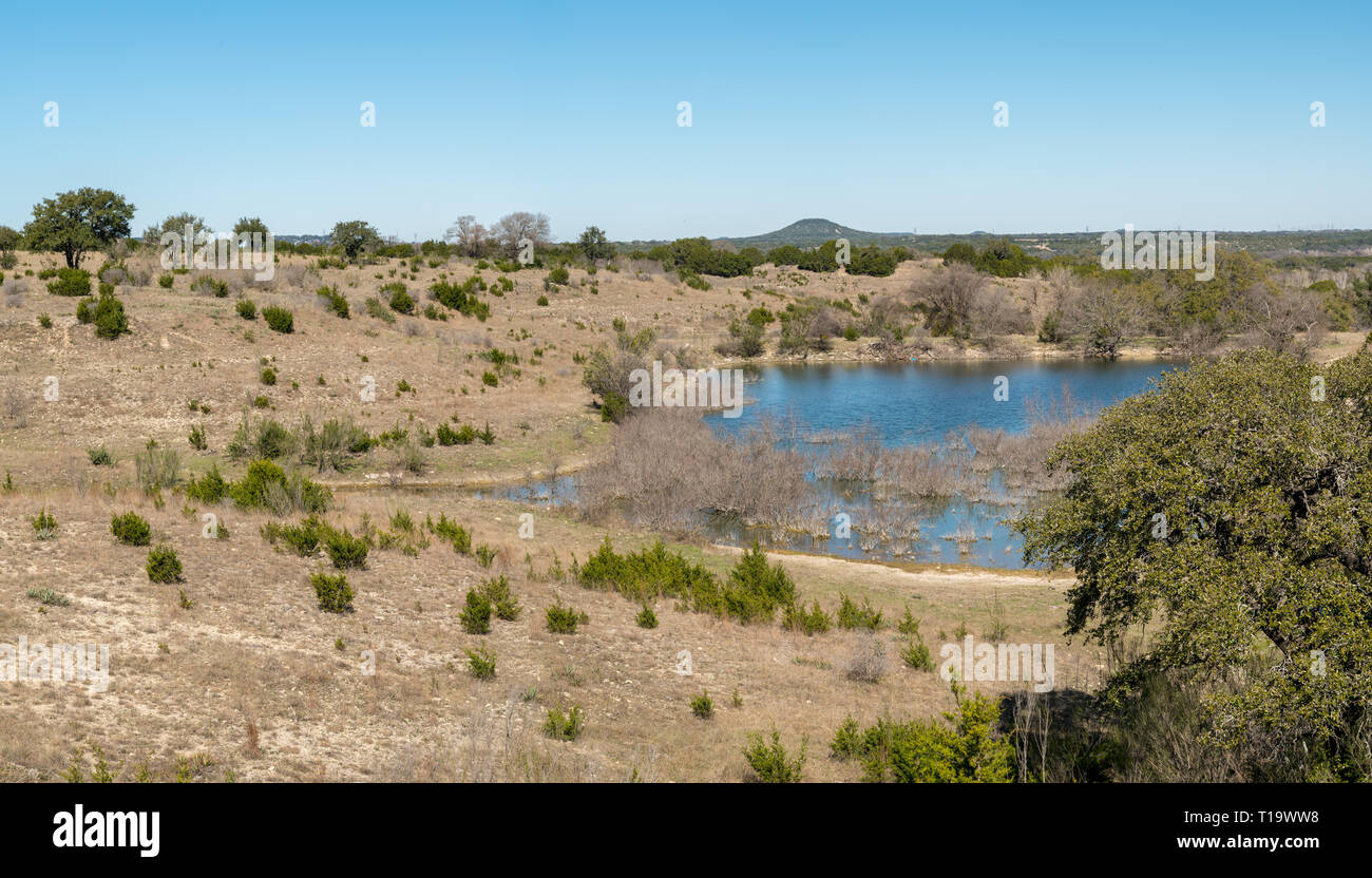 Texas mountain cedar trunk hi-res stock photography and images - Alamy