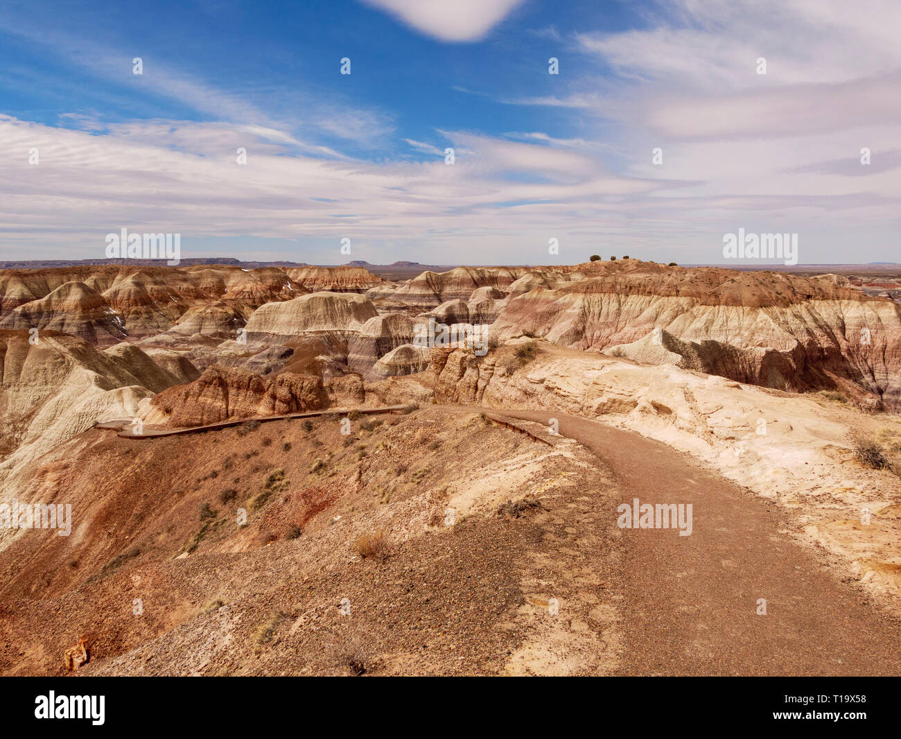 Petrified forest national park hi-res stock photography and images - Alamy