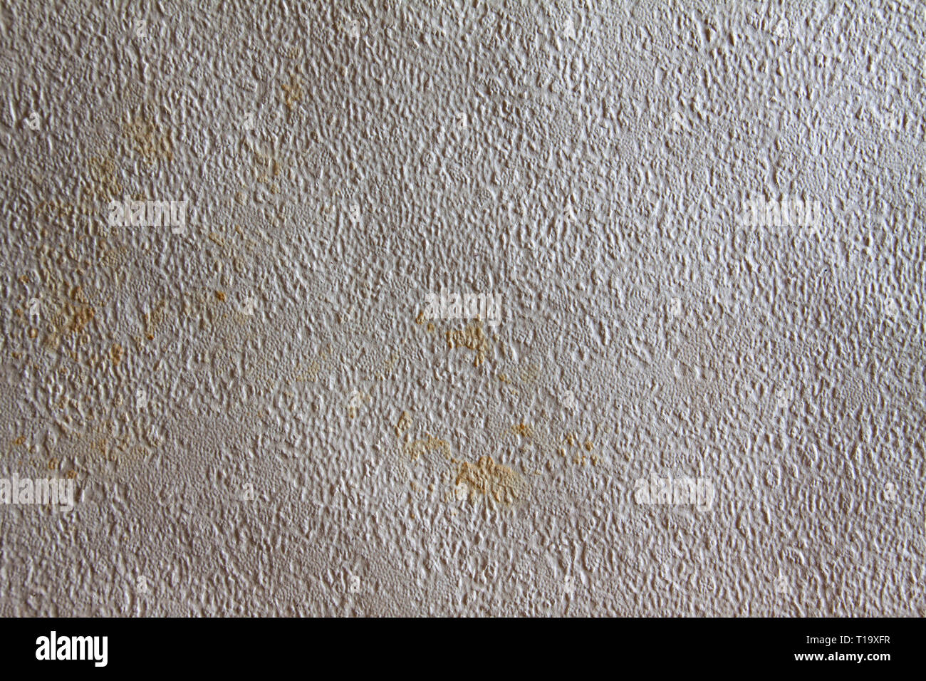 Cement plaster wall as background or texture Stock Photo - Alamy