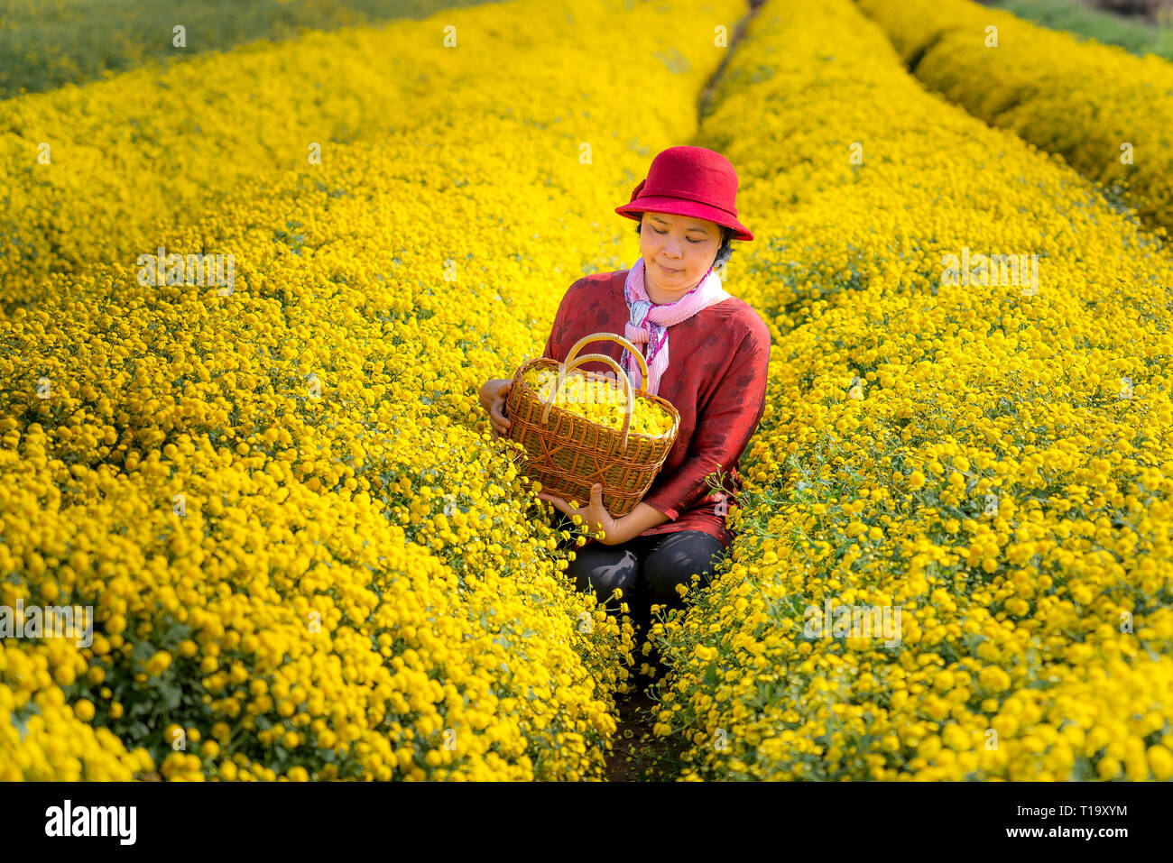 Nghia Trai village, Hung Yen province, Vietnam - December 25, 2018 ...