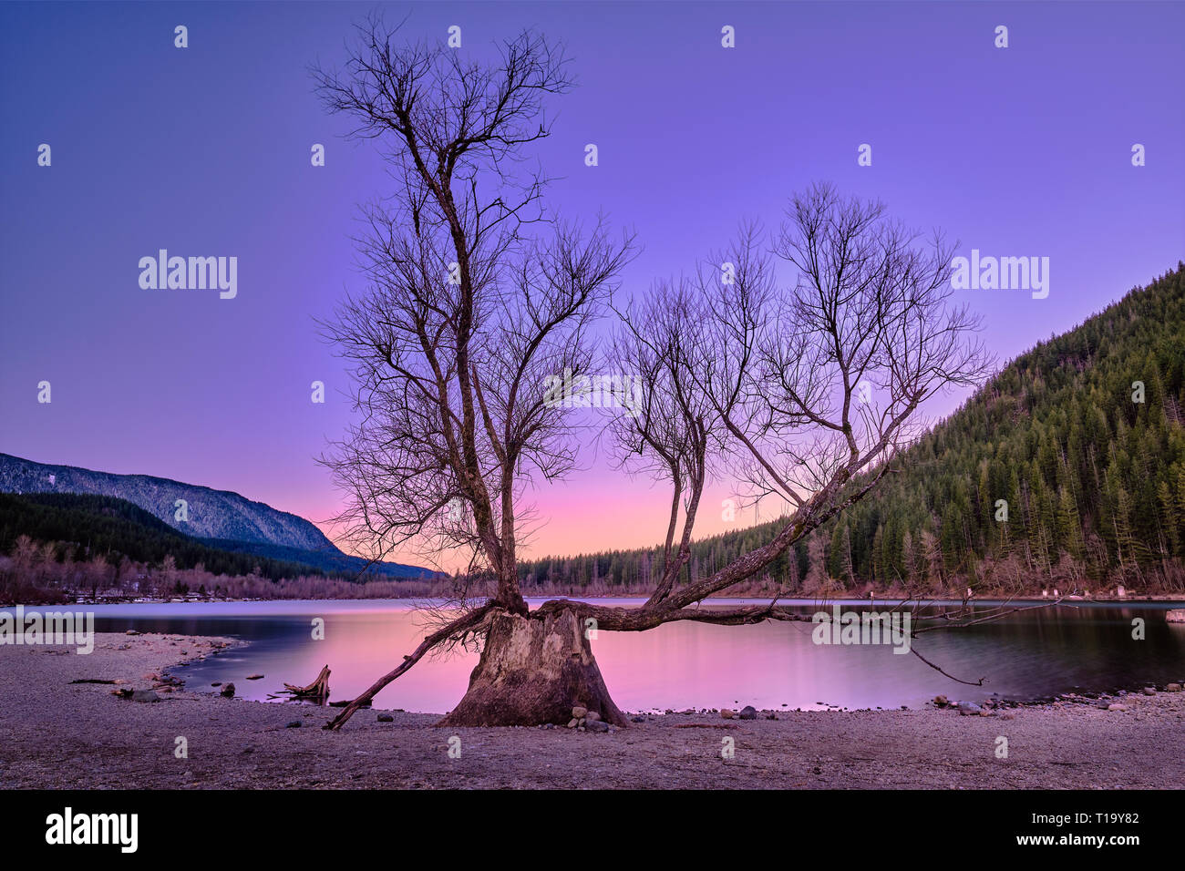 Serene lake view hi-res stock photography and images - Alamy