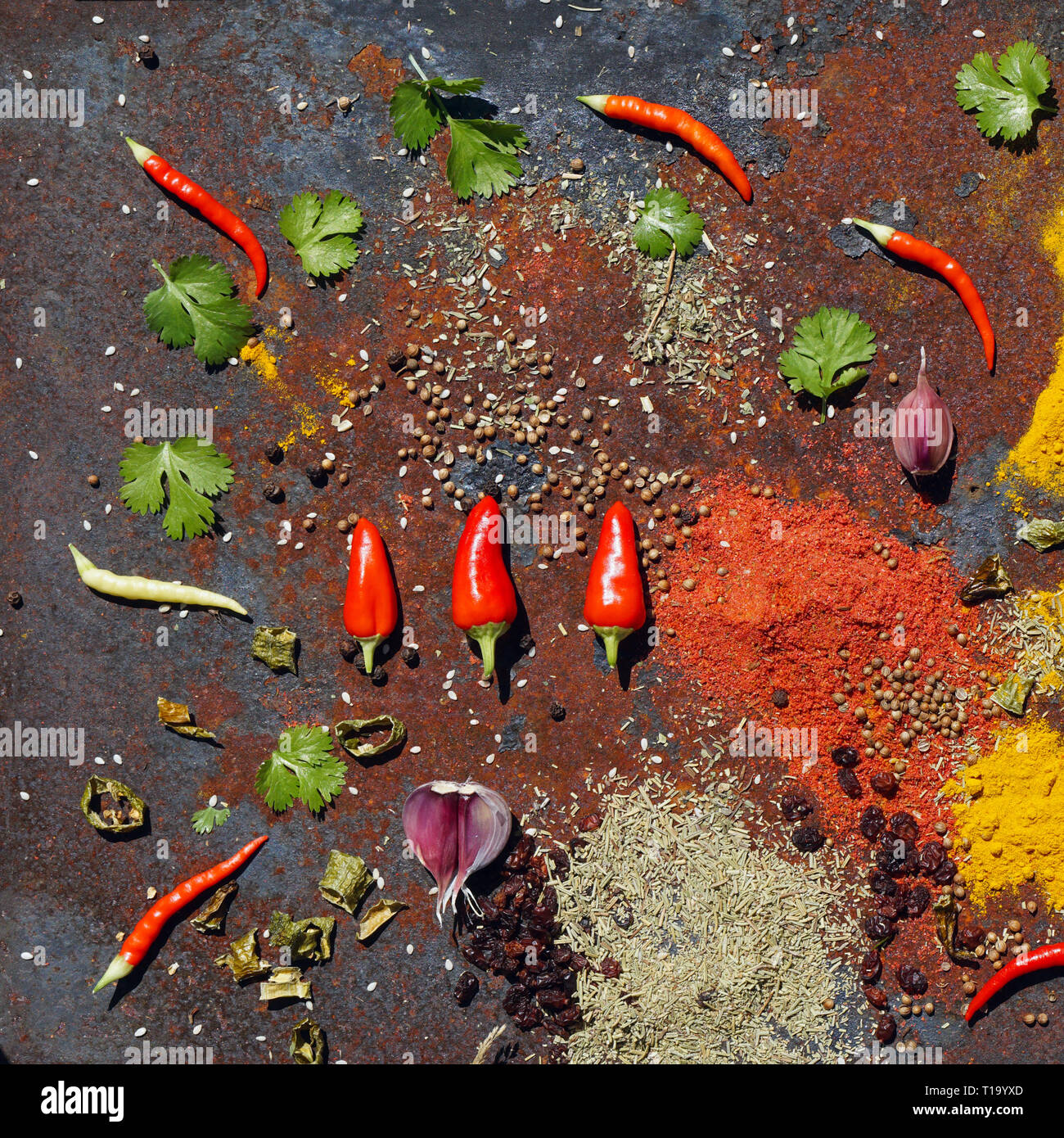 Indian barberry hi-res stock photography and images - Alamy