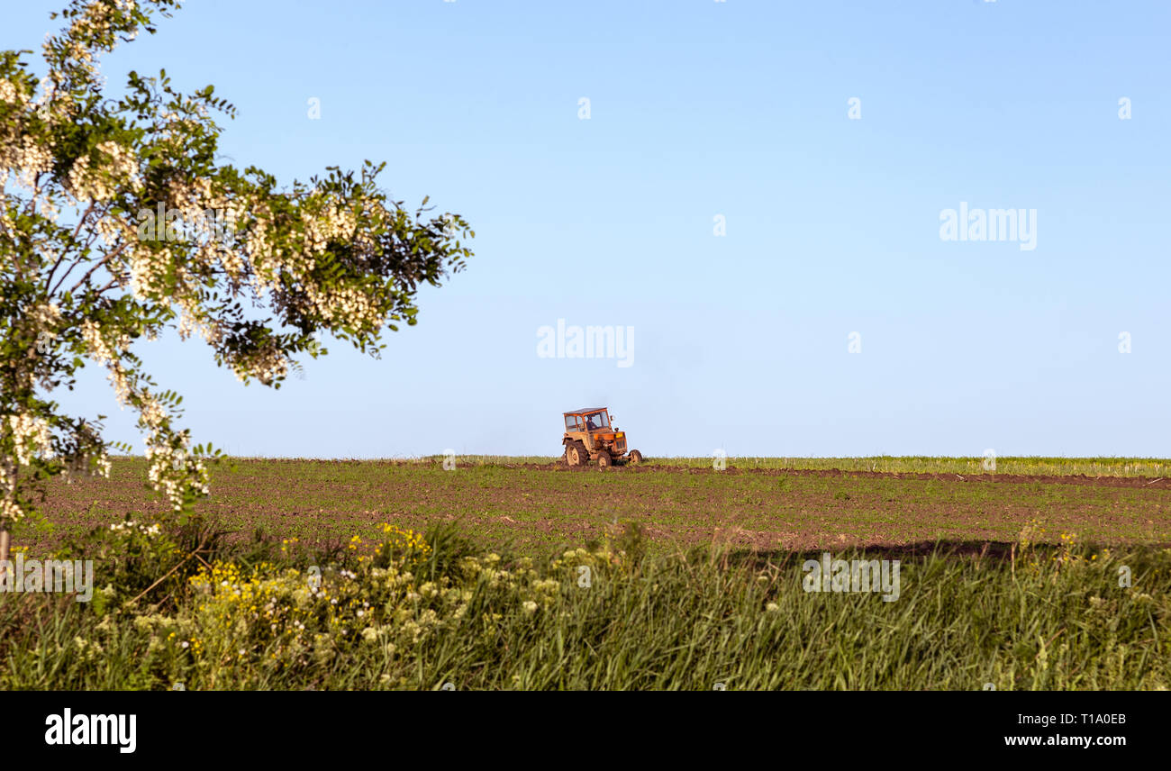 Old-fashioned tractor sowing crops at field over blue sky with ...