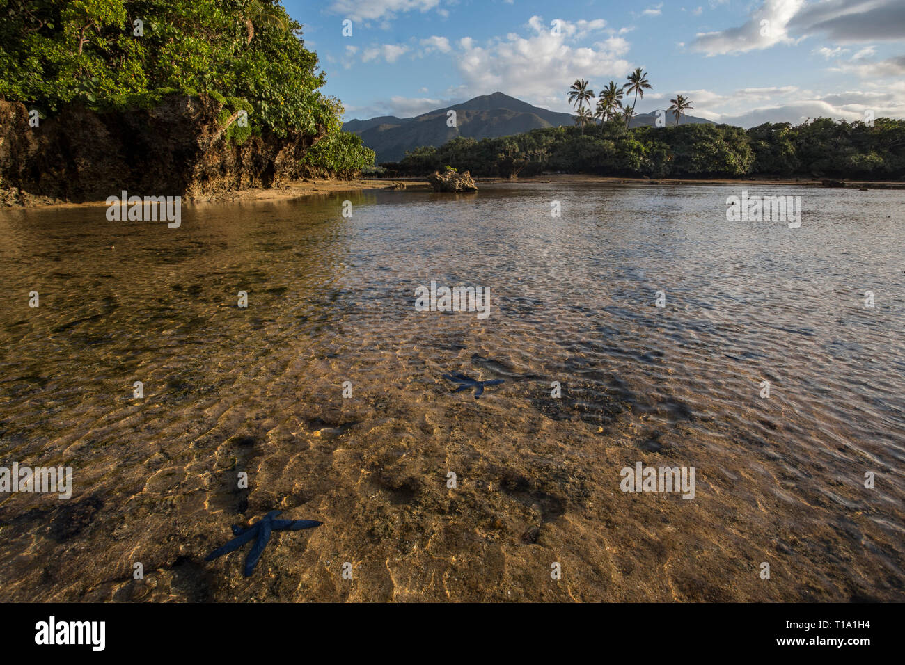 Wave-cut platform and eroded volcanic outcrops at the mouth of the Yate ...