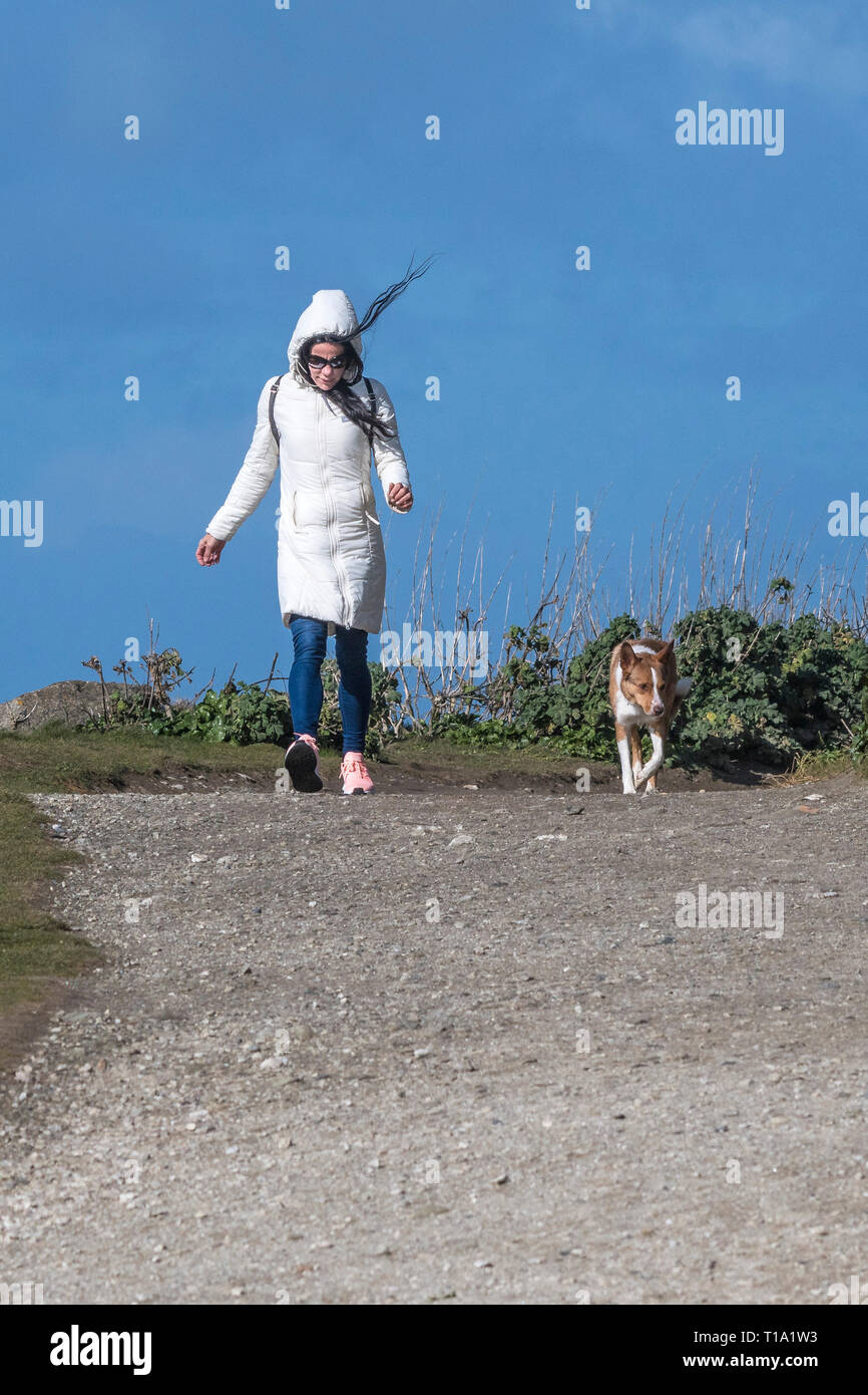 Very windy day hi-res stock photography and images - Alamy