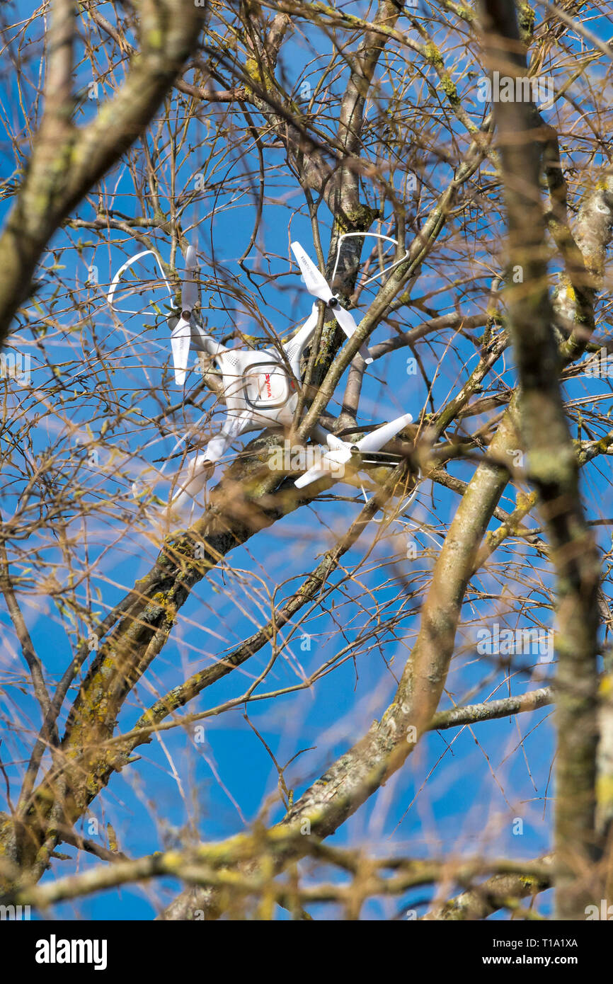 A Syma Drone Quadcopter crashed into the branches of a tree Stock Photo ...