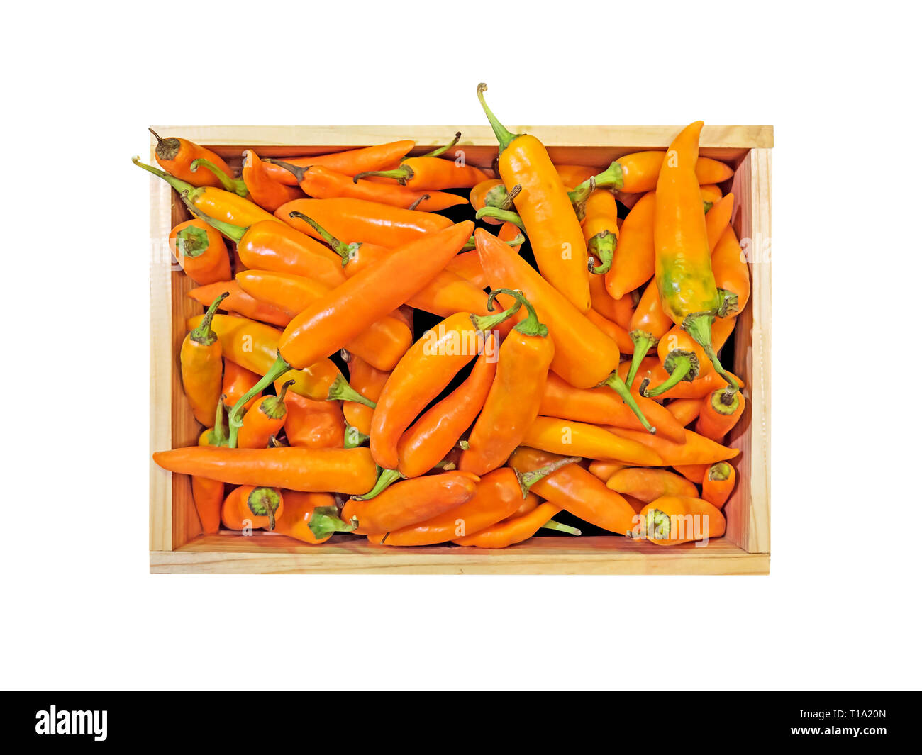 Yellow Chili Pepper in The Wooden Box Isolated on White Background ...