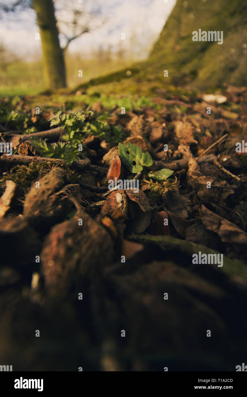 Natural low wide angle hi-res stock photography and images - Alamy