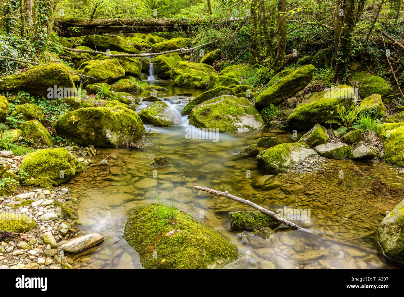 Little Waterfalls High Resolution Stock Photography and Images - Alamy