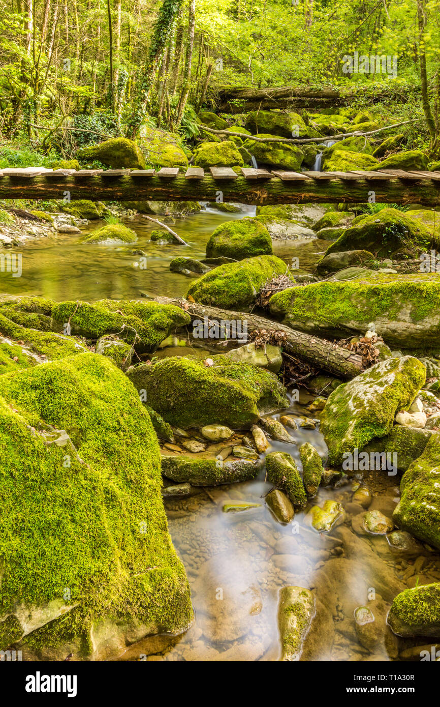 Little waterfalls on a creek Stock Photo - Alamy