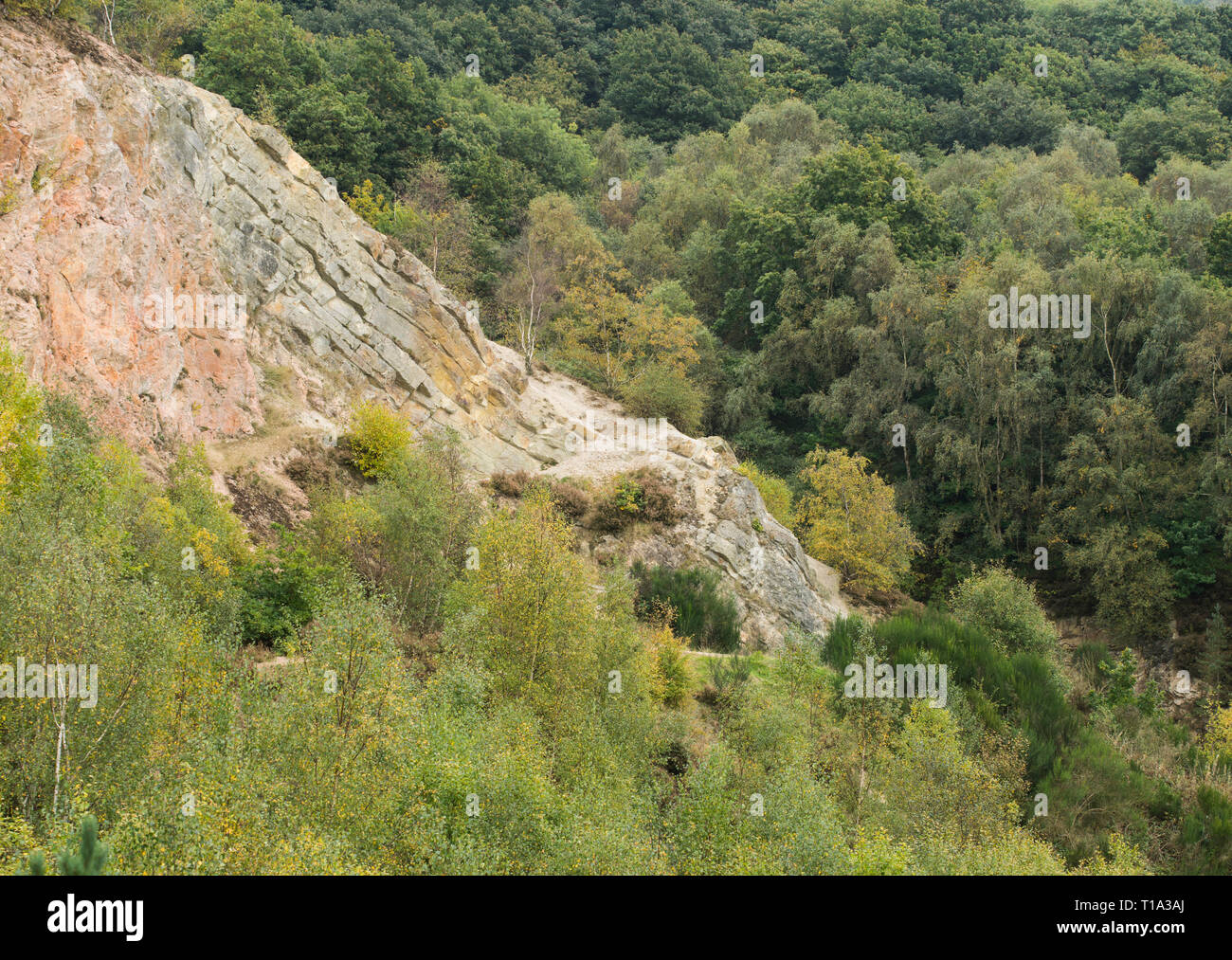 Ercall quarry near The Wrekin, Telford and Wrekin, Shropshire, England ...