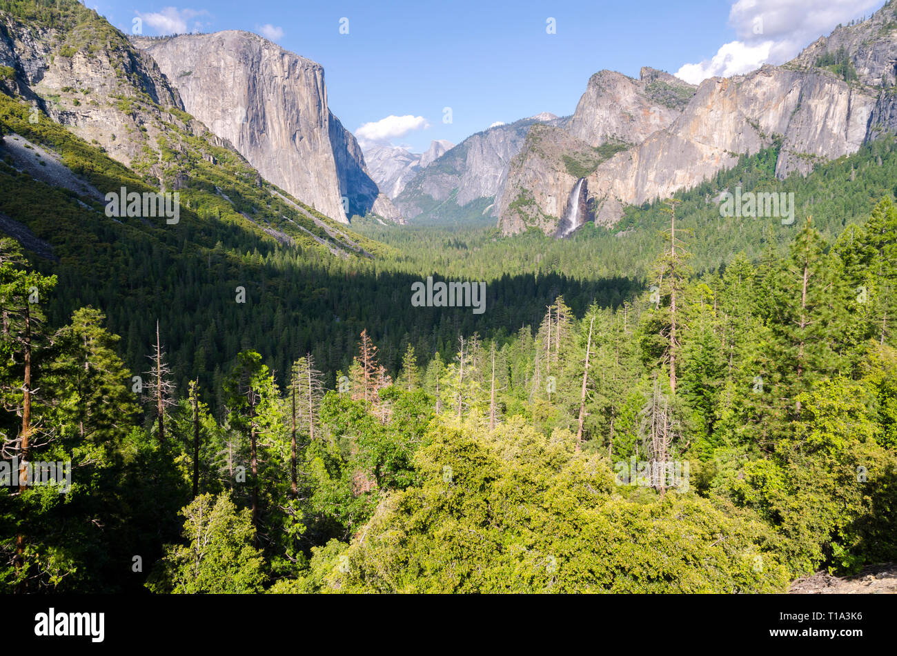 lake and river in Yosemite National Park in California Stock Photo - Alamy