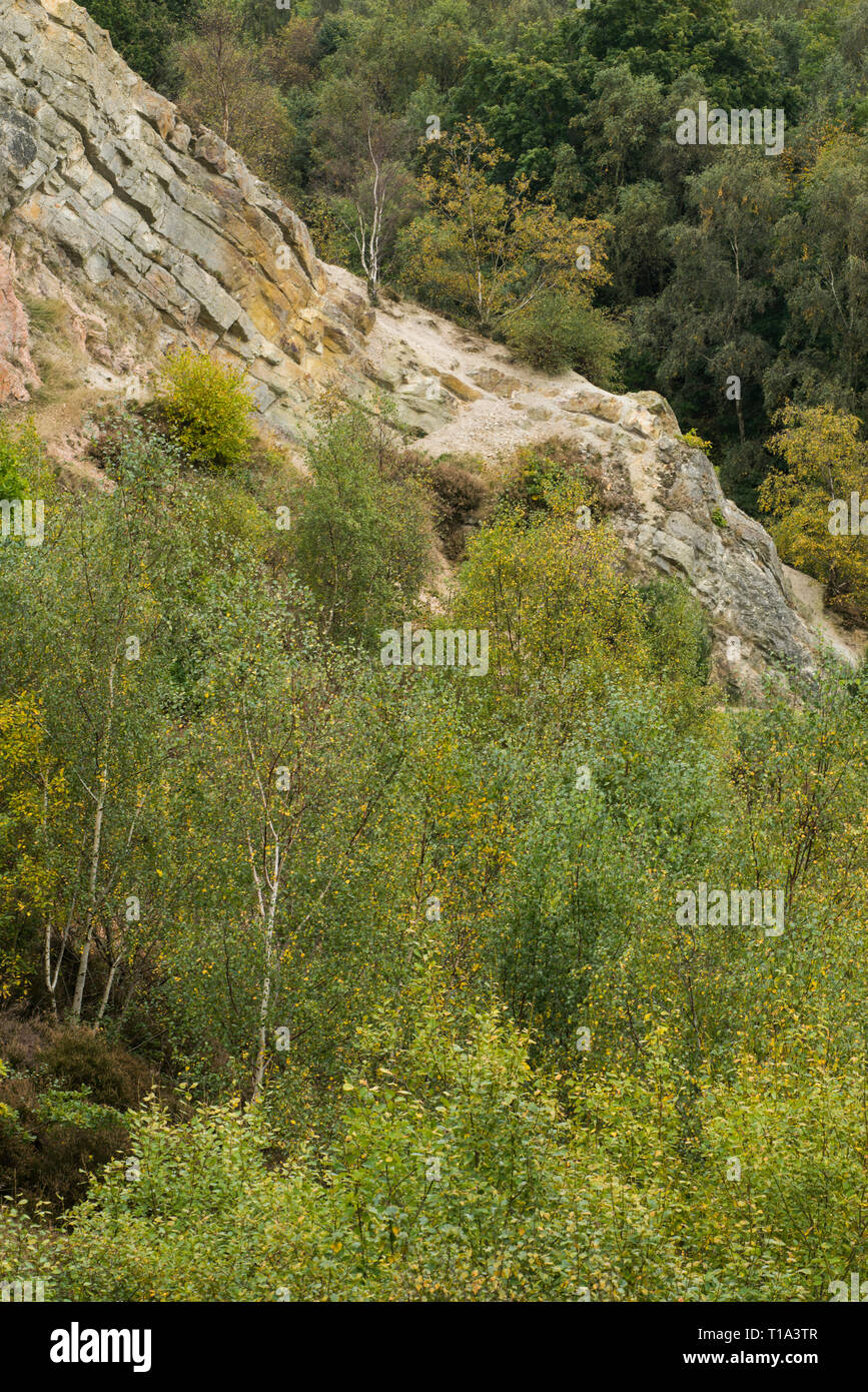 Ercall hi-res stock photography and images - Alamy