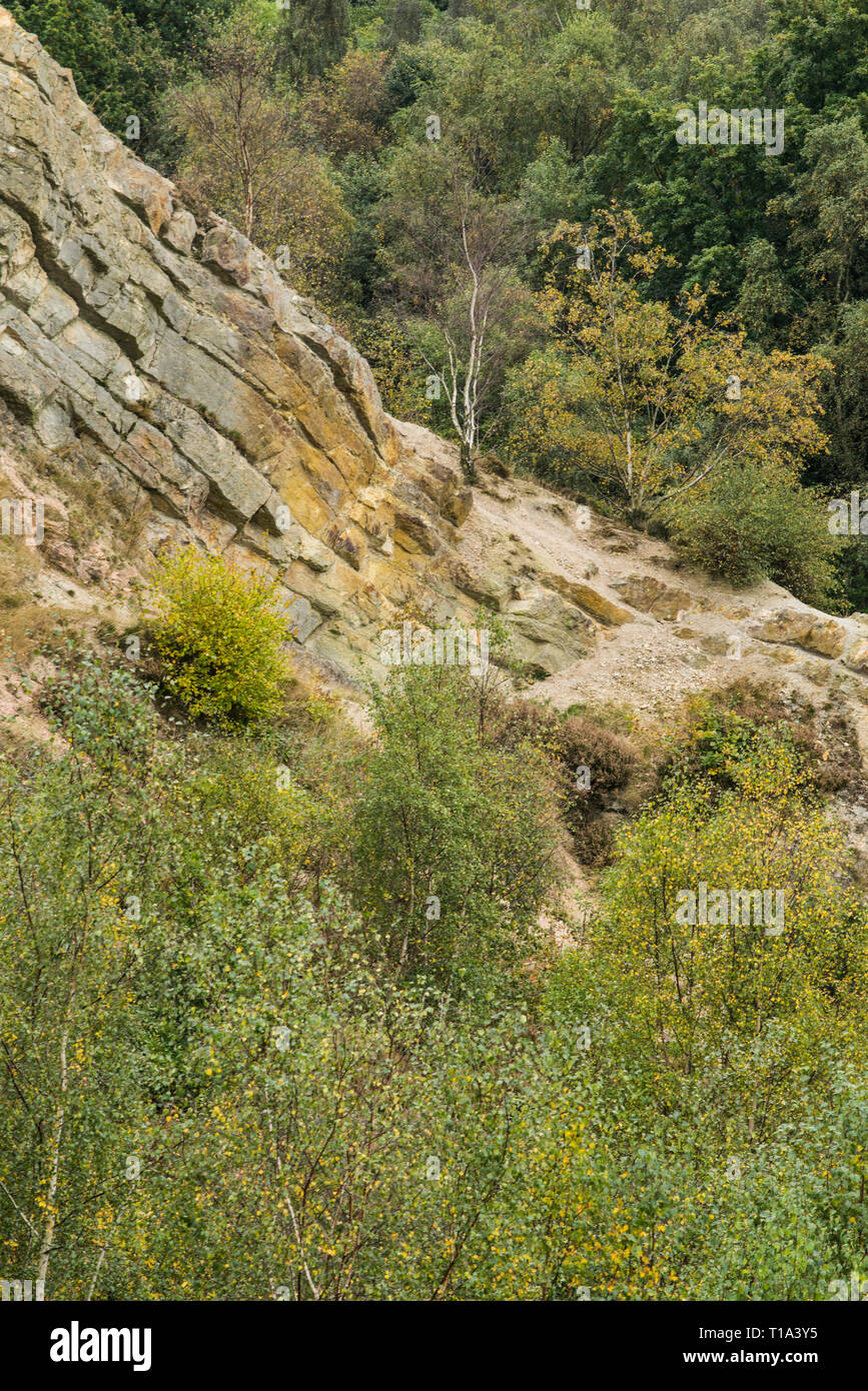 Ercall quarry near The Wrekin, Telford and Wrekin, Shropshire, England ...