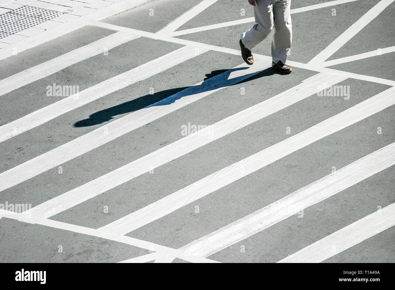 The legs of people walking across a zebra crossing or crosswalk, and ...