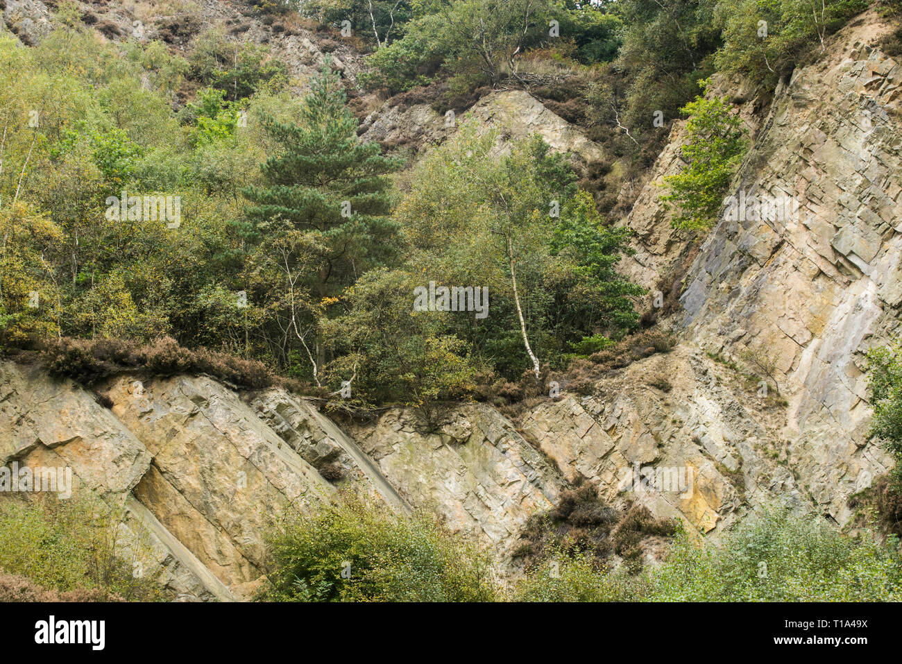 Ercall quarry near The Wrekin, Telford and Wrekin, Shropshire, England ...