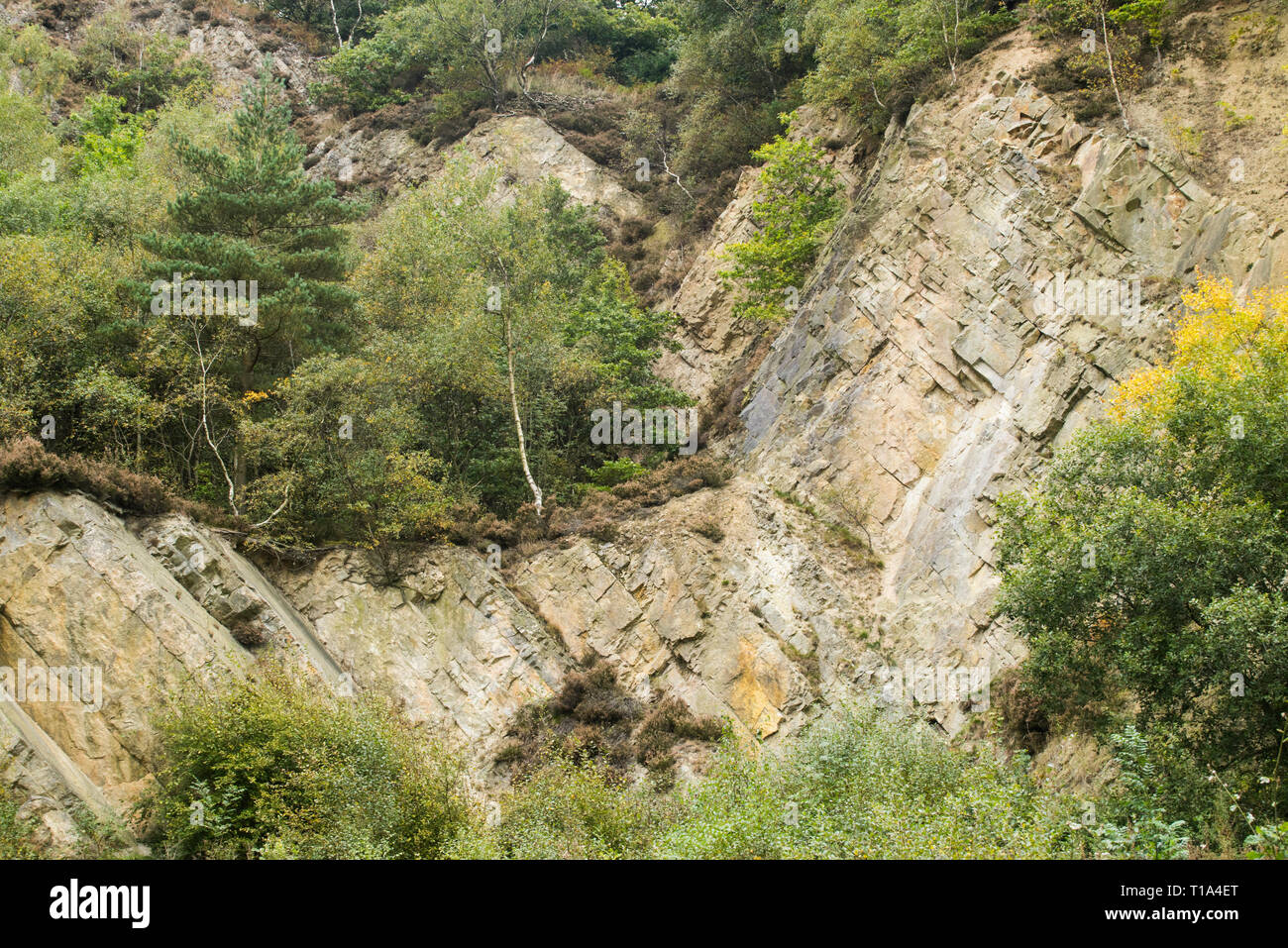 Ercall quarry near The Wrekin, Telford and Wrekin, Shropshire, England ...
