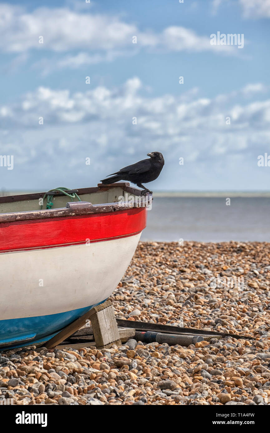 Rook and boat Stock Photo - Alamy