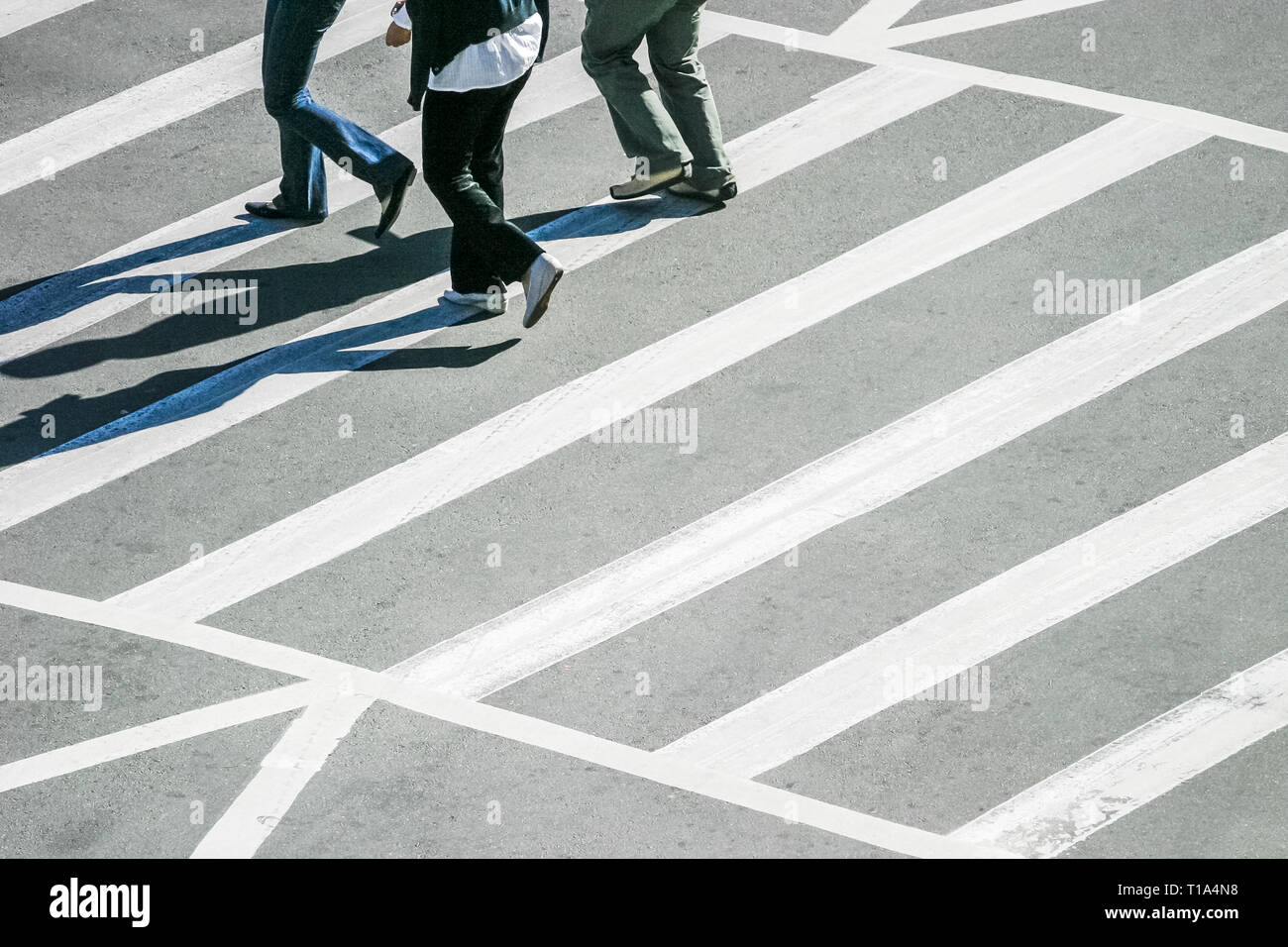 The legs of people walking across a zebra crossing or crosswalk, and ...