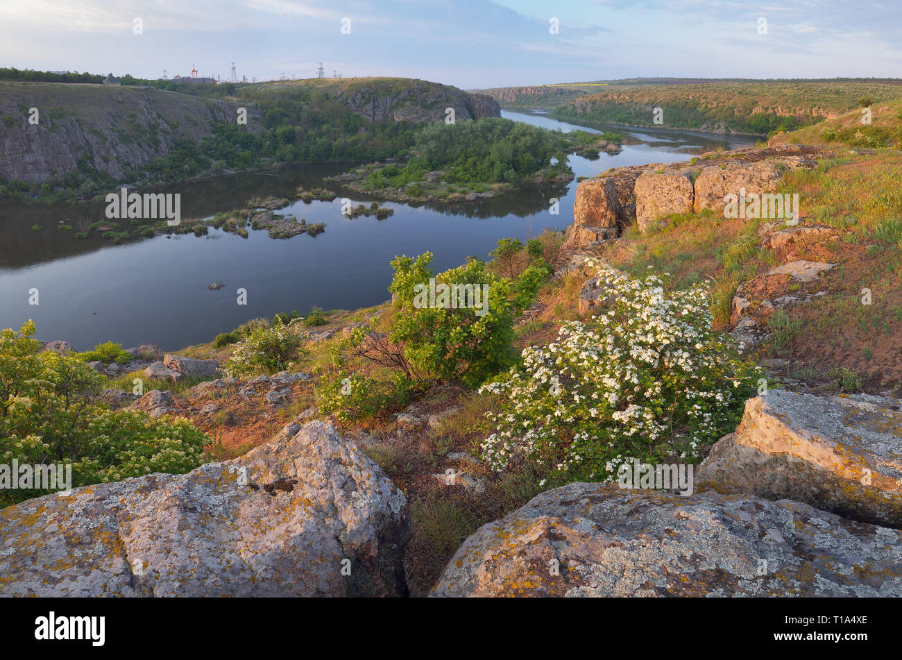 Bug canyon hi-res stock photography and images - Alamy