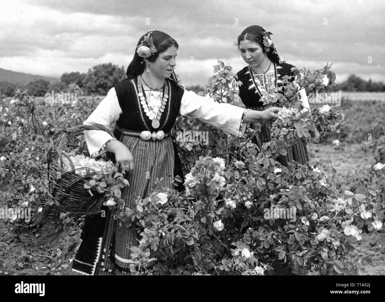 Bulgars hi-res stock photography and images - Alamy