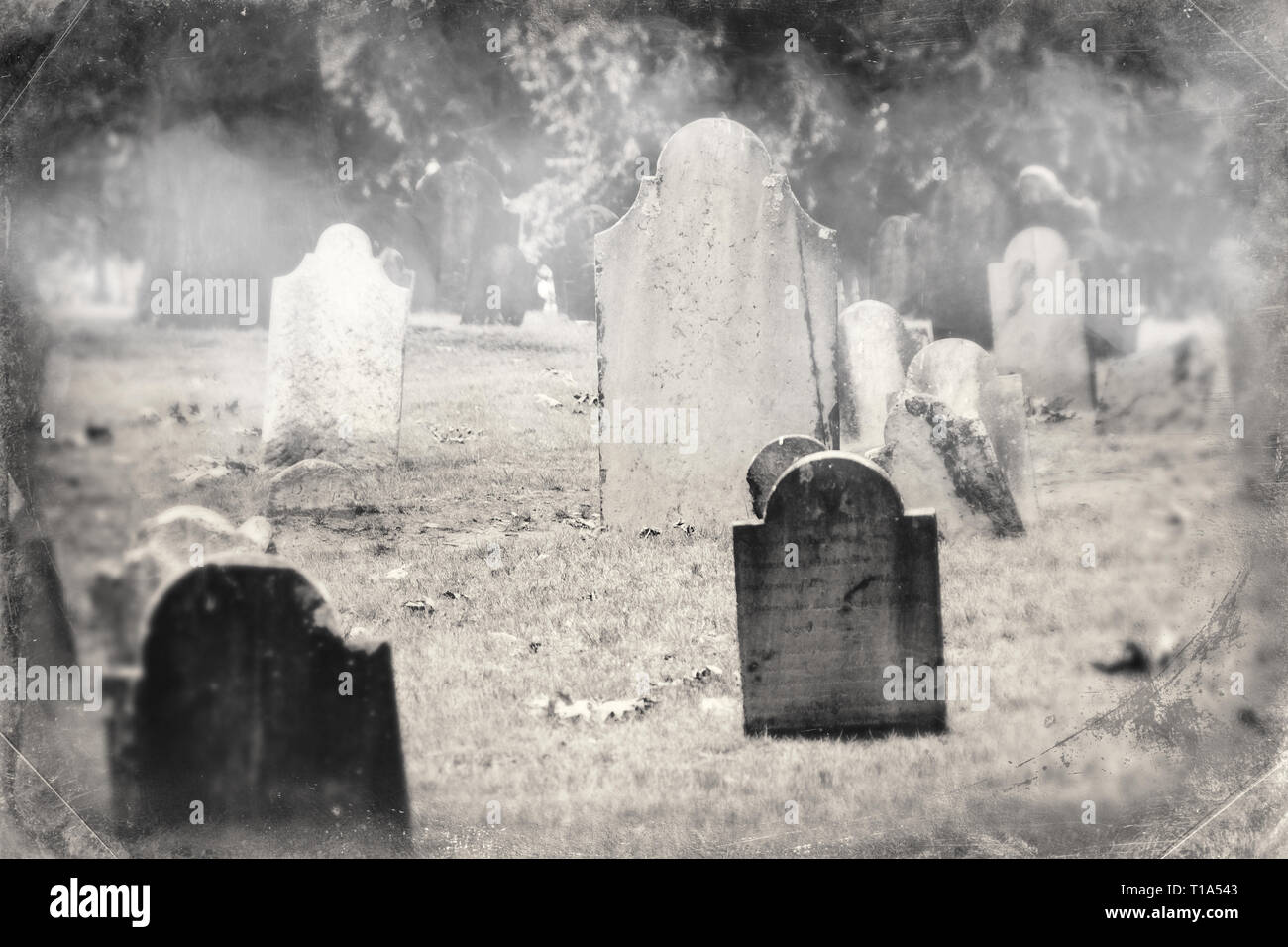 Spooky Cemetery in the Fog Stock Photo - Alamy