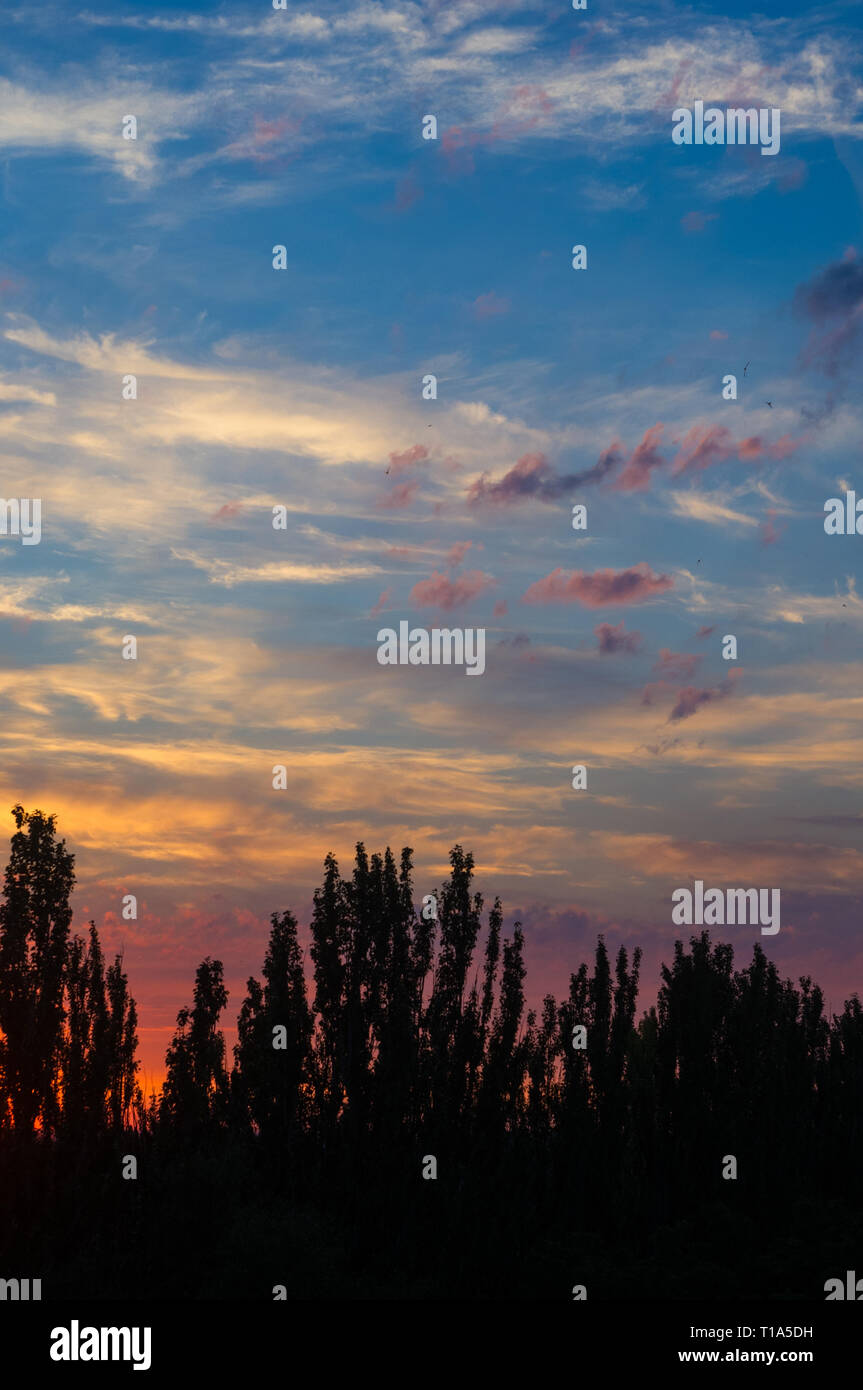 Landscape with dramatic light - beautiful golden sunset with saturated ...