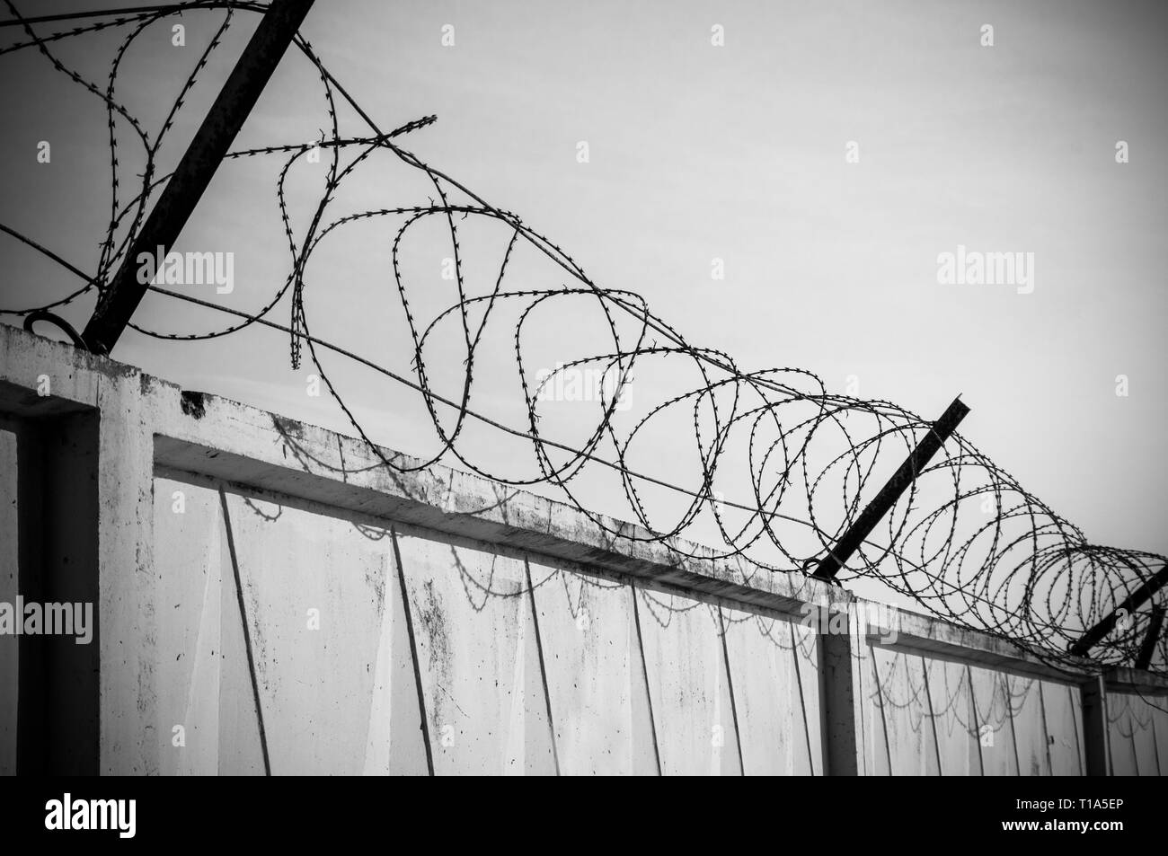 Concrete wall with razor barbed tape wire on blue sky background Stock ...