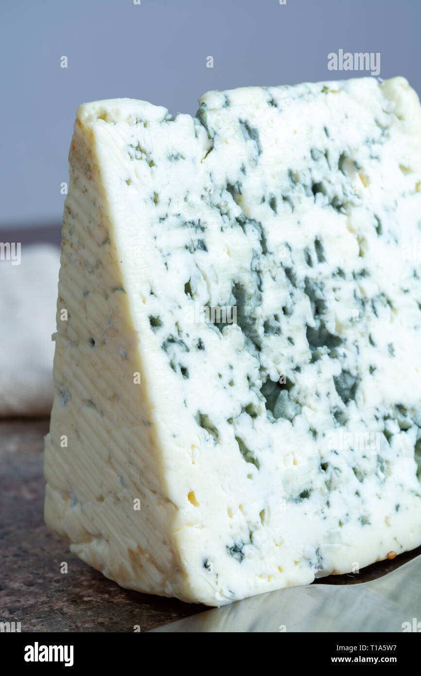 Piece of Blue Auvergne semi-hard AOP French blue cheese made from raw ...