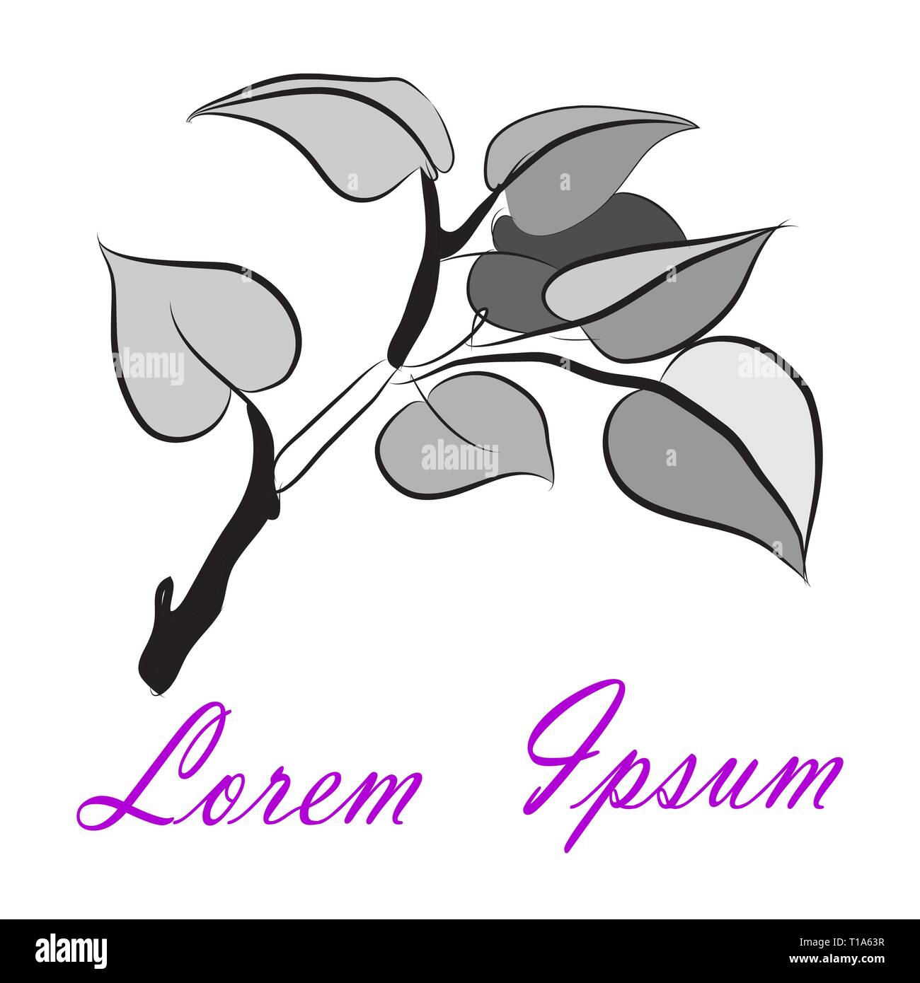 Sketch branch of leaves by hand. Abstract monochrome illustration ...