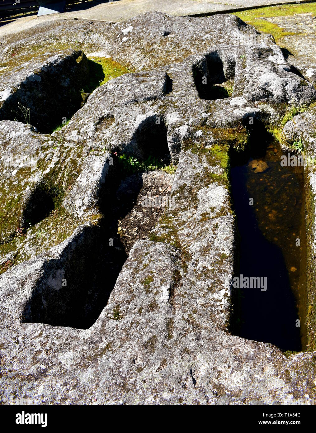 Medieval anthropomorphic tombs dug in stone. Sarmiento Castle ...