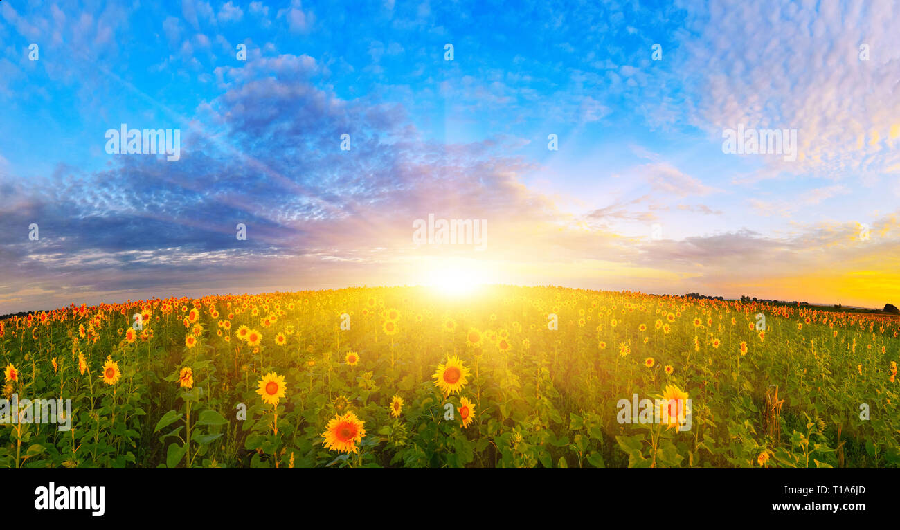 Heaven morning hi-res stock photography and images - Alamy