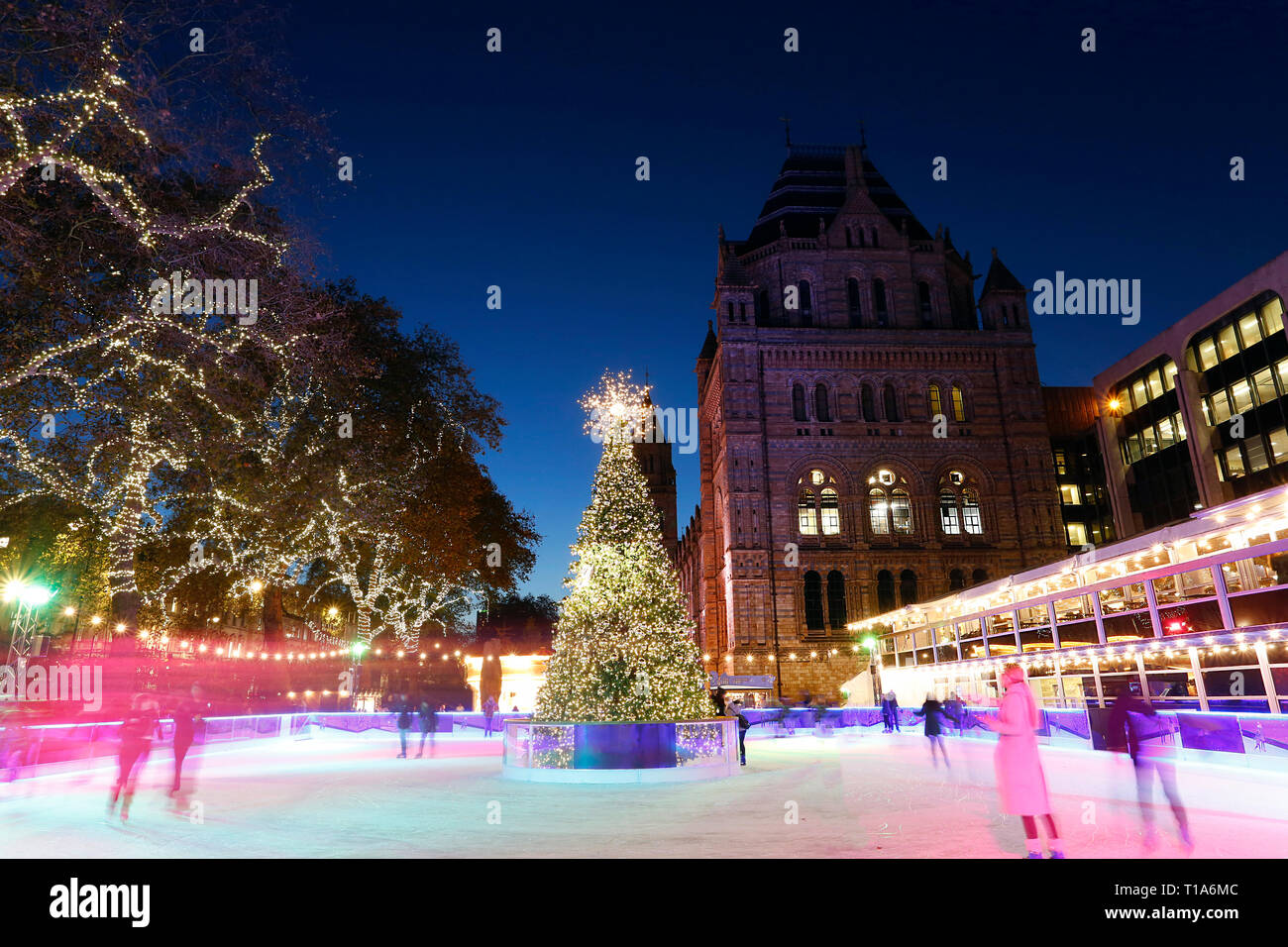 Night View of Natural History Museum, include Ice Rink Stock Photo - Alamy