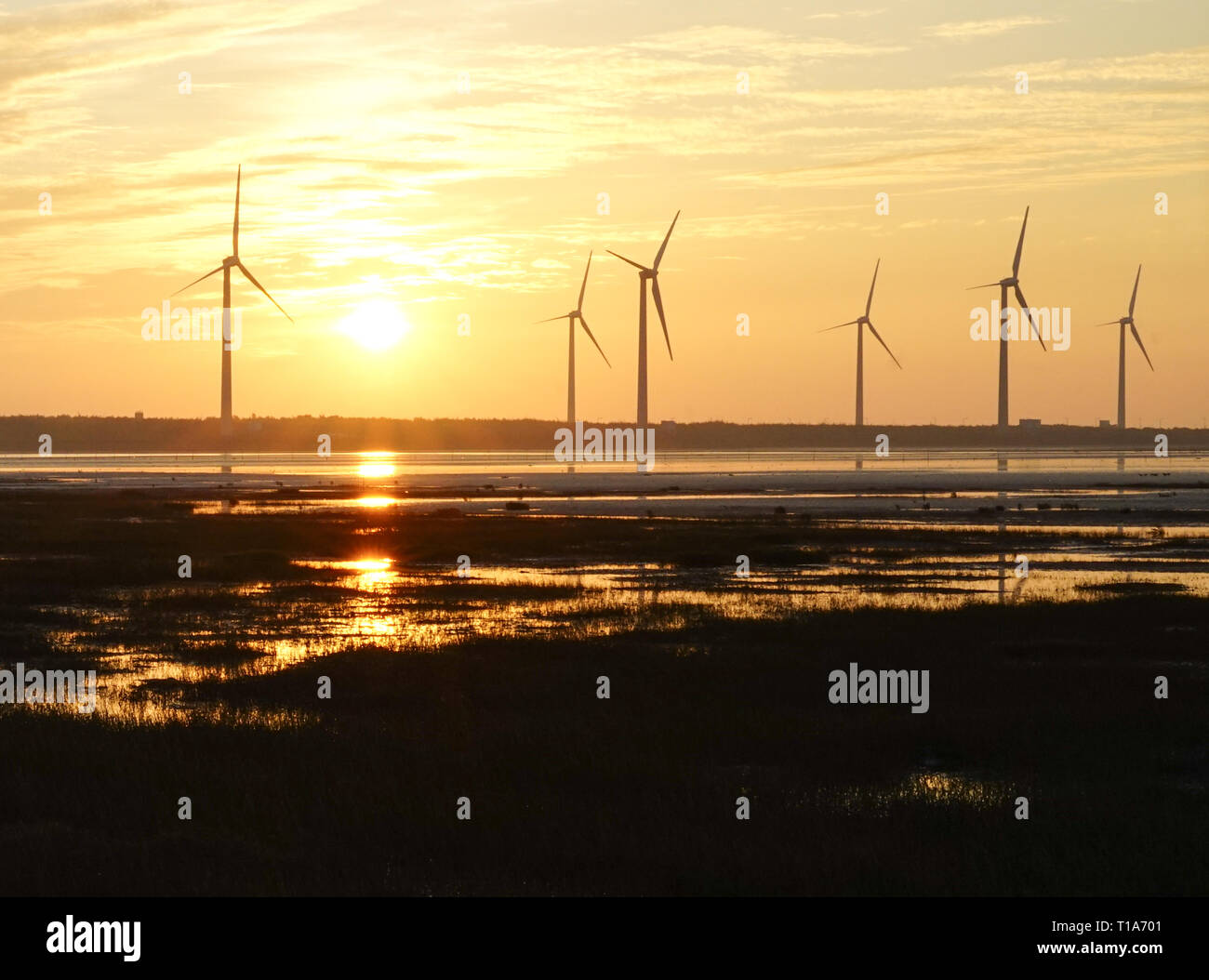 Industrial concept : Wind farm generating power or energy during sunset ...