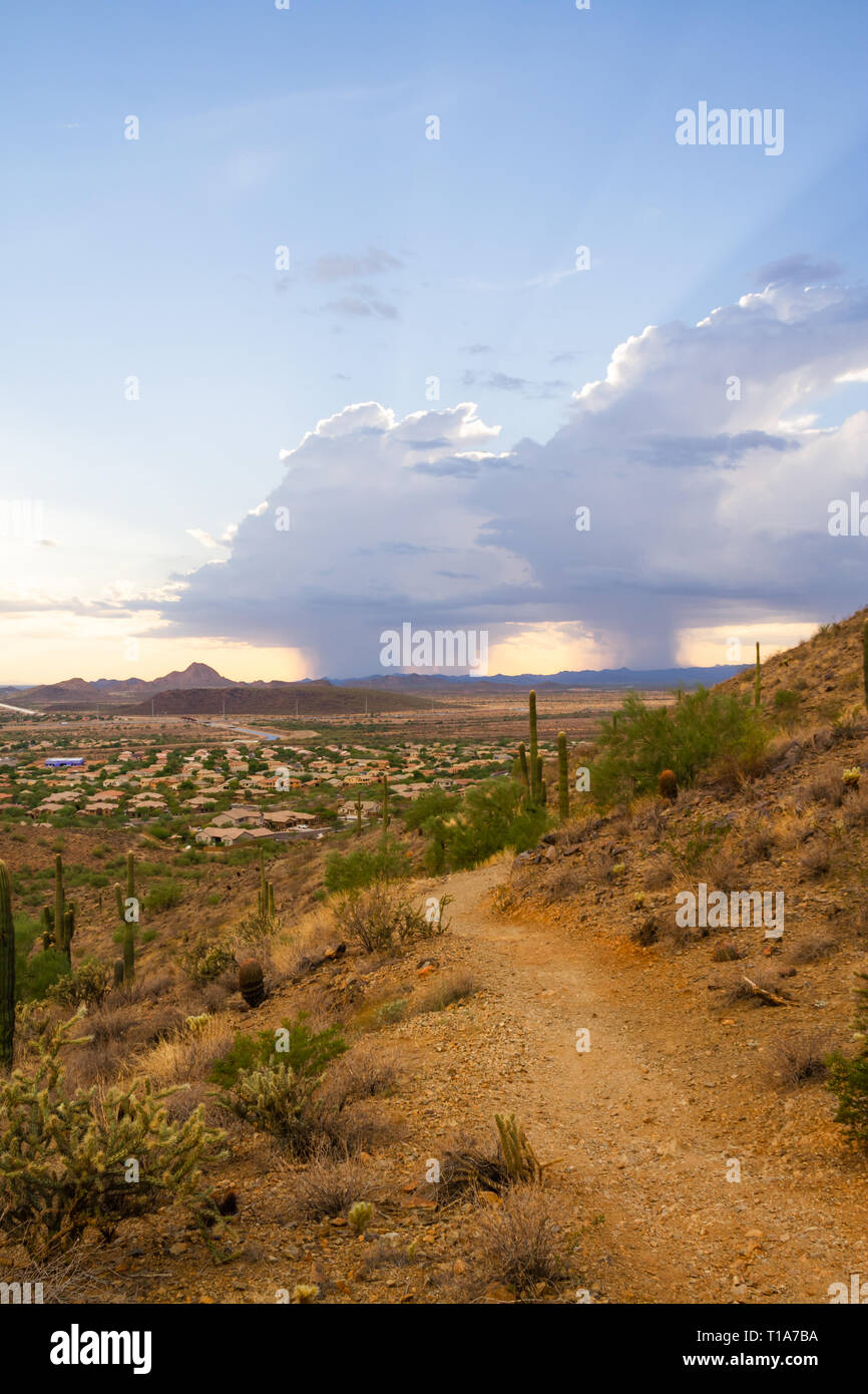 A monsoon storm over the desert of Arizona during sunset Stock Photo ...