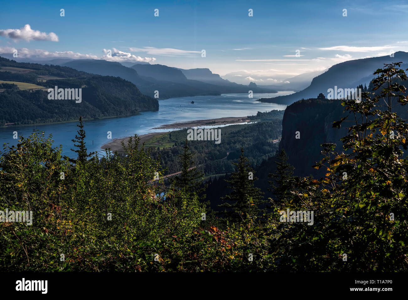Columbia River Gorge in Oregon Stock Photo - Alamy