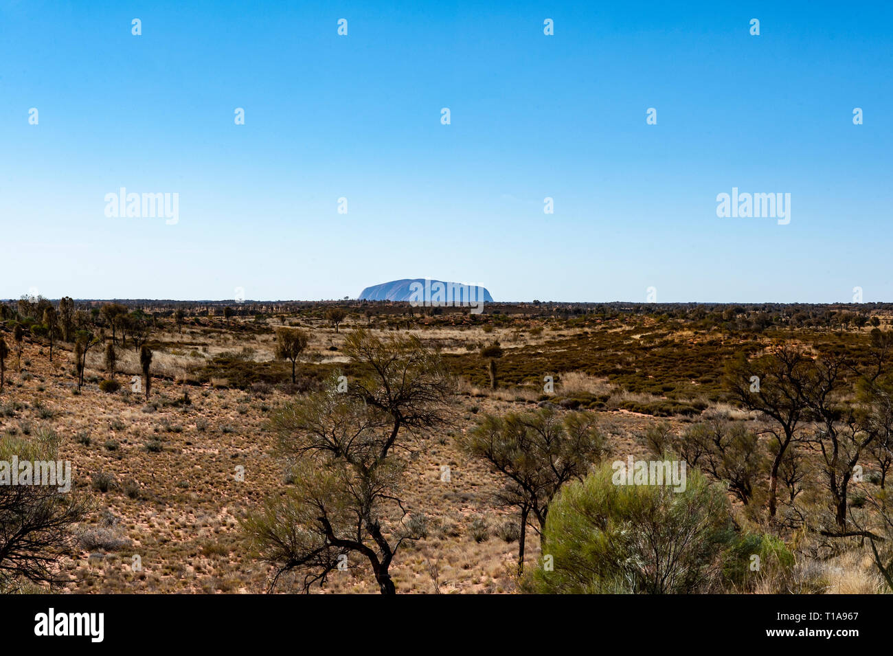 Uluru in the distance on the Kata Tjuta Road, Lasseter Highway ...
