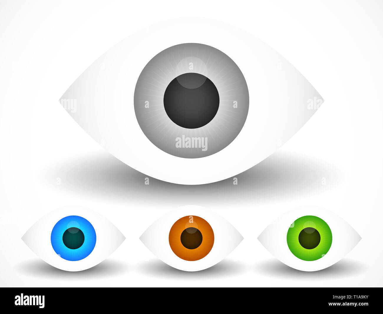 Eye, eyeball graphics in different colors. Gray, green, brown and blue ...