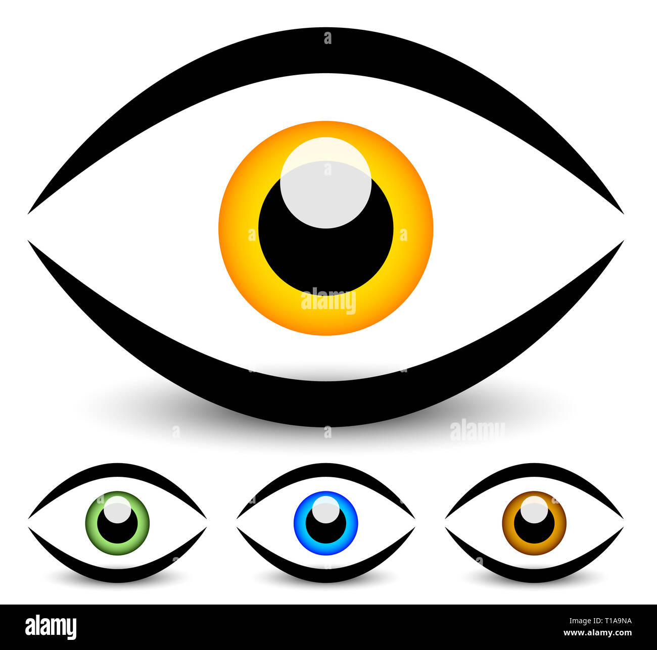 Eye graphic. Vision, seeing, sight, observation. Vector Stock Photo - Alamy