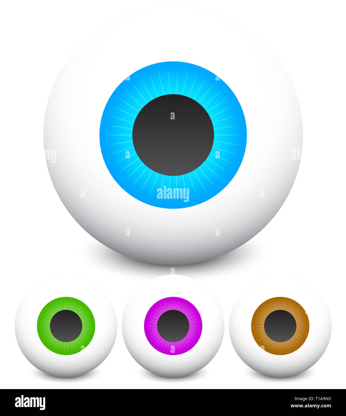 Eye vector graphics. Eyeball, vision, optics vector Stock Photo - Alamy