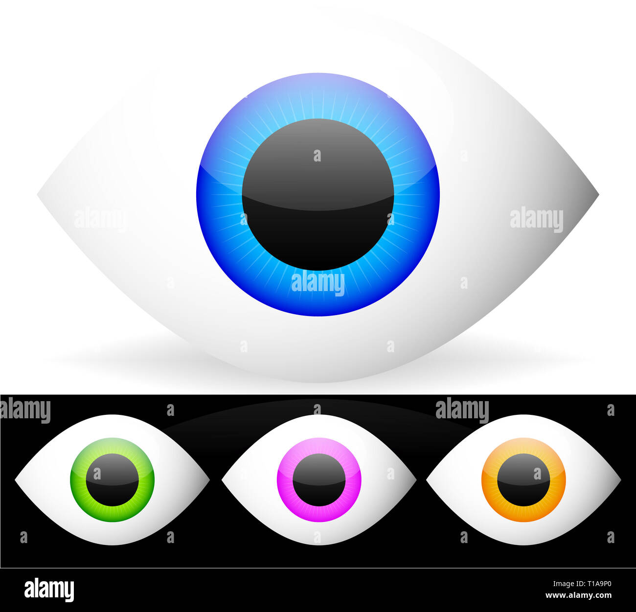 Eye vector graphics. Eyeball, vision, optics vector Stock Photo - Alamy